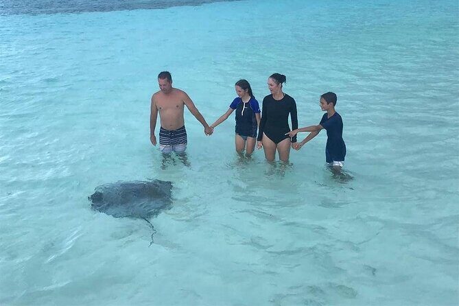 El Cielo Cozumel Snorkeling trip by Catamaran - The Vibe and Experience Quality