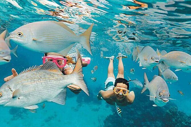 El Cielo Palancar and Columbia Snorkeling Tour - The Itinerary: What to Expect