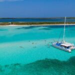 El Cielo, Palancar Snorkel & Beach Party Experience - Who Will Love This Tour?