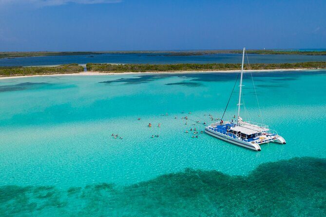 El Cielo, Palancar Snorkel & Beach Party Experience - Who Will Love This Tour?