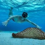 El Cielo the Breathtaking Snorkel Tour of Cozumel Cielito Beach & Lunch Included - Value and Suitability