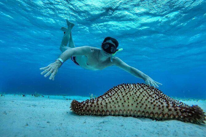 El Cielo the Breathtaking Snorkel Tour of Cozumel Cielito Beach & Lunch Included - Value and Suitability