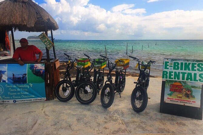 Electric Bike Adventure - Who Should Consider This Tour?