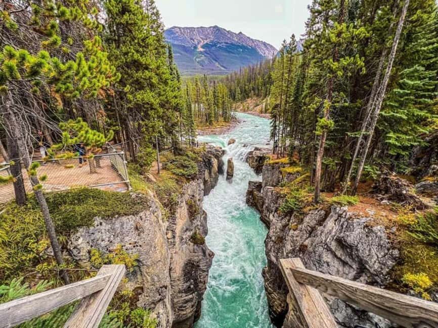 Emerald Lake, Lake Louise, Johnston Lake & Banff Gondola - What Makes This Tour Stand Out?