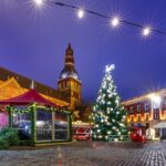Enchanting Christmas Private Tour in Magical Houston - The Practicalities