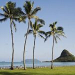 Enchanting Small Group Circle Island Tour Across Oahu Paradise - What Travelers Can Expect
