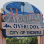 Encinitas: Downtown Walking Tour - Who Will Appreciate This Tour?