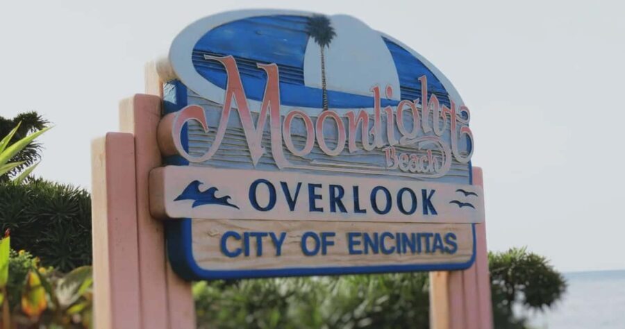 Encinitas: Downtown Walking Tour - Who Will Appreciate This Tour?