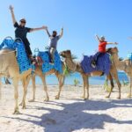 ENJOY UNIQUE CAMEL RIDE in Puerto Morelos with Transportation - Practical Tips for Future Travelers