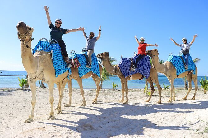 ENJOY UNIQUE CAMEL RIDE in Puerto Morelos with Transportation - Practical Tips for Future Travelers