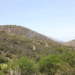 Ensenada: ATV and Zip Line Adventure Tour - What’s Included and What’s Not