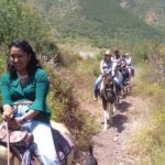 Ensenada: Bajas Hidden Trails: Horseback Ride w/ Ocean View - The Sum Up