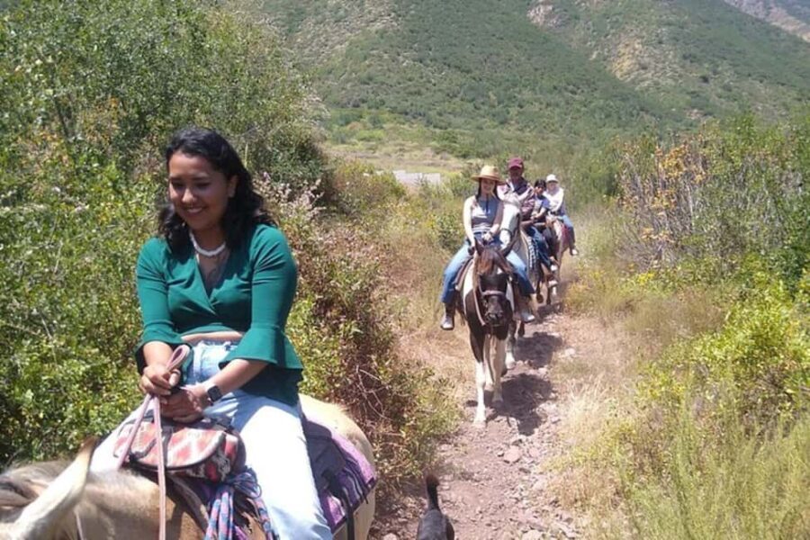 Ensenada: Bajas Hidden Trails: Horseback Ride w/ Ocean View - The Sum Up