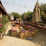 Ensenada: Guadalupe Valley Wine Route Private Tour - An In-Depth Look at the Guadalupe Valley Private Tour