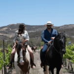 Ensenada: Horseback Riding at the Vineyards - The Experience’s Value