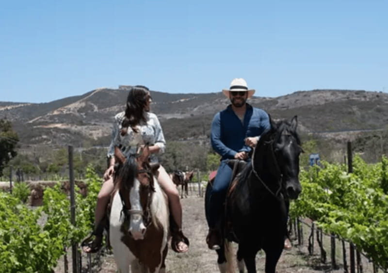 Ensenada: Horseback Riding at the Vineyards - The Experience’s Value