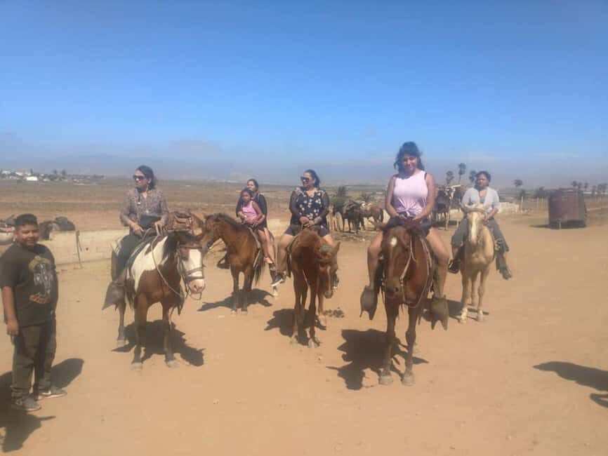 Ensenada: La Bufadora and Playa Hermosa Horseback Riding - Who Should Consider This Tour?