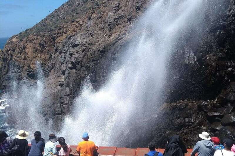 Ensenada: La Bufadora & Beach Horseback Riding Adventure - Why This Tour Offers Good Value