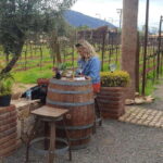 Ensenada: Ojos Negros Valley Cheese and Wine Tasting Tour - Why Travelers Will Appreciate This Tour