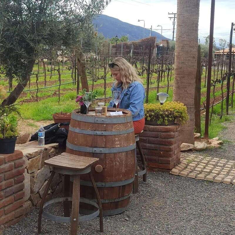 Ensenada: Ojos Negros Valley Cheese and Wine Tasting Tour - Why Travelers Will Appreciate This Tour