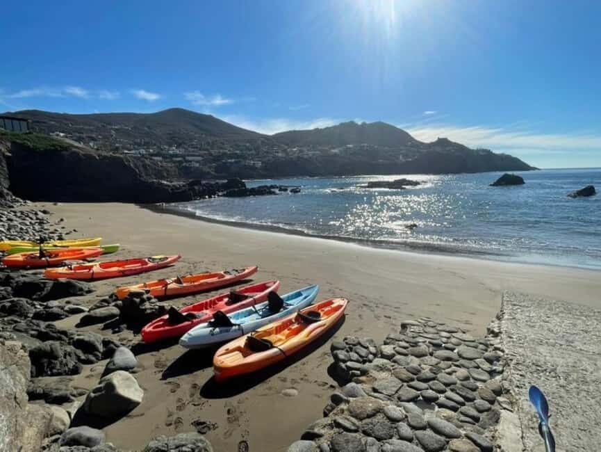 Ensenada: Private Kayak Tour to La Bufadora W/Transfer - Combining Adventure with Local Culture
