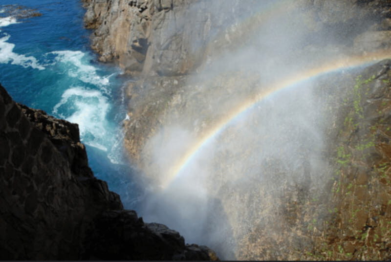 Ensenada: Private Tour to La Bufadora Geyser - Why This Tour Offers Great Value
