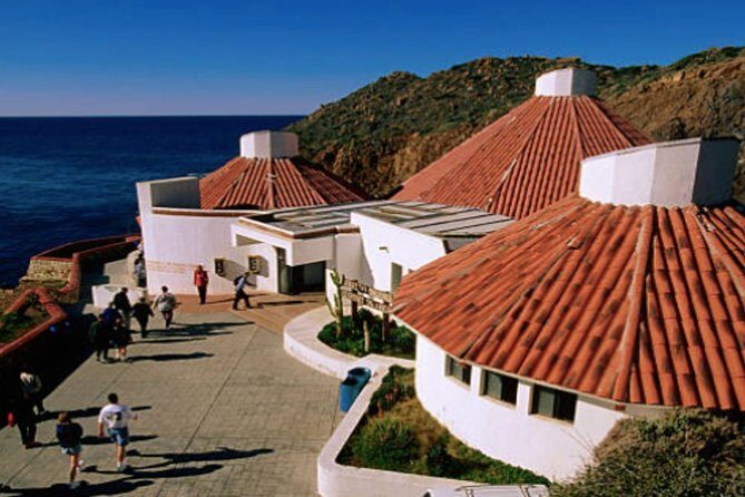 Ensenada Shore Excursion: City Tour & La Bufadora - The Realities of the Experience