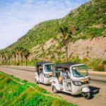 Ensenada: Street Gourmet Tour with Tacos and Drinks - Detailed Breakdown of the Experience