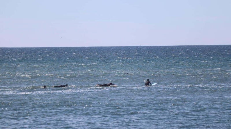 Ensenada: Surf Lessons at Playa Hermosa - Why This Tour Offers Good Value