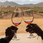 Ensenada: Valle de Guadalupe Wine Tasting Tour - The Itinerary: What’s Included and Why It Matters