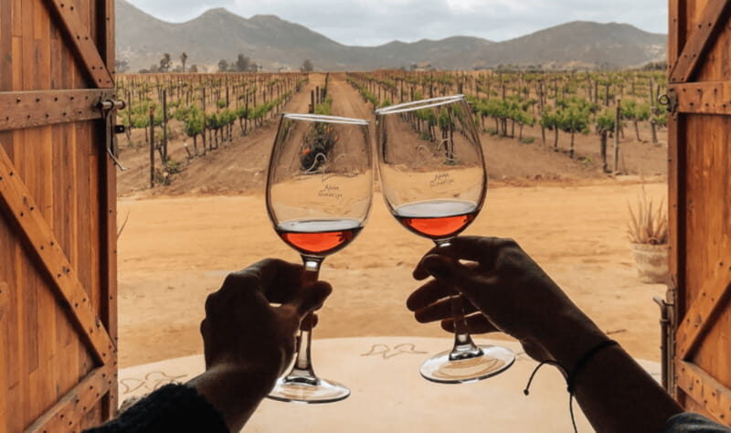 Ensenada: Valle de Guadalupe Wine Tasting Tour - The Itinerary: What’s Included and Why It Matters