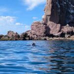Espíritu Santo Adventure Private Tour - Who Will Love This Tour?