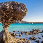 Espiritu Santo and Sealion Swimming aboard a luxury yacht - The Itinerary in Detail