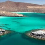 Espiritu Santo Island Day Tour - What the Tour Includes and How It Runs