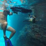 Espiritu Santo Island Snorkel & Sea Lion Adventure - Snorkeling with Sea Lions