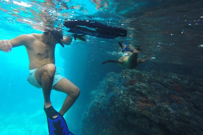 Espiritu Santo Island Snorkel & Sea Lion Adventure - Snorkeling with Sea Lions