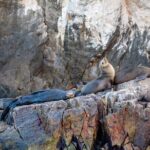 Espiritu Santo Island Tour - Is It Worth the Price?