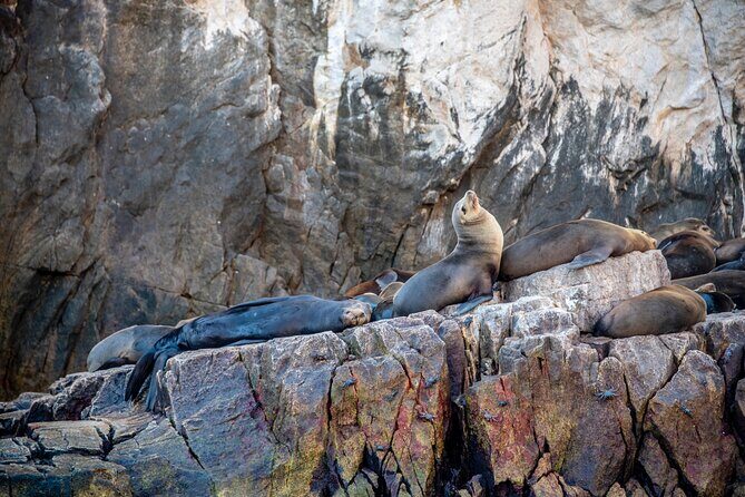 Espiritu Santo Island Tour - Is It Worth the Price?