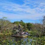 Everglades: boat tour with transportation& entrance included - Analyzing the Tours Value