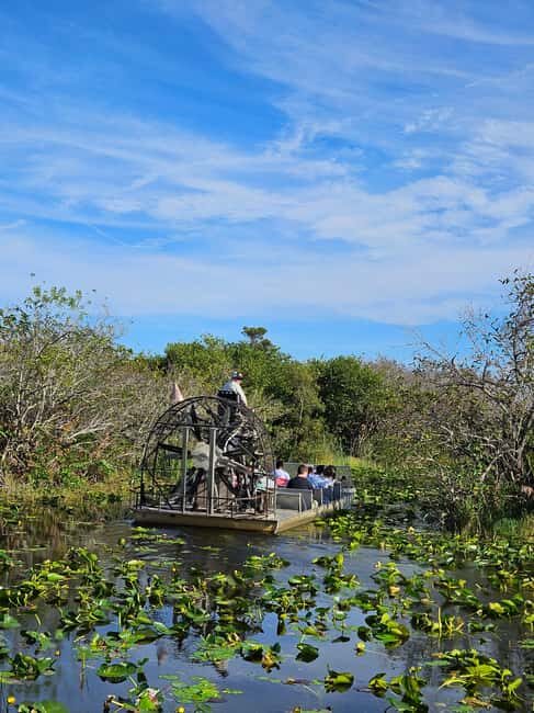 Everglades: boat tour with transportation& entrance included - Analyzing the Tours Value