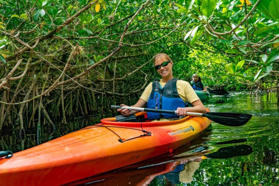 Everglades City: Guided Kayaking Tour and Airboat Ride - Who Will Enjoy This Tour?