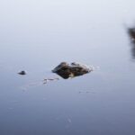 Everglades Day Safari from Fort Lauderdale - Exploring the Itinerary in Detail