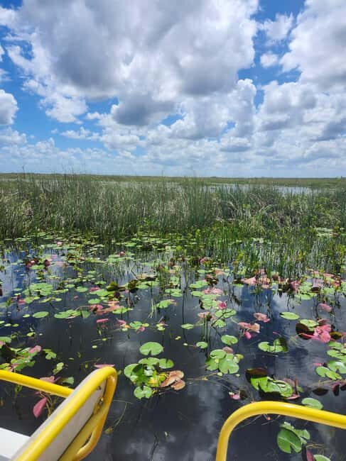 Everglades Eco Airboat Tour small group & top transportation - Who Should Consider This Tour?