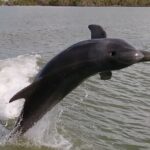 Everglades Small Group Guided Boating and Walking Expedition - What Makes This Tour Special