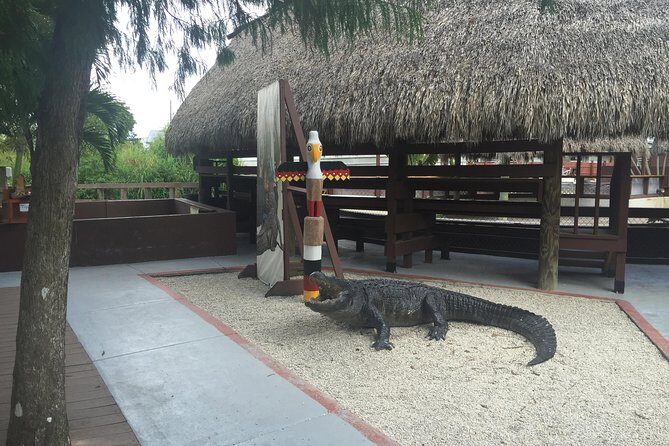 Everglades Tour from Miami with Transportation - Authentic Experiences and Real Insights