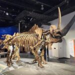 Exclusive Drumheller Private Tour from Calgary - Practical Details and Overall Value