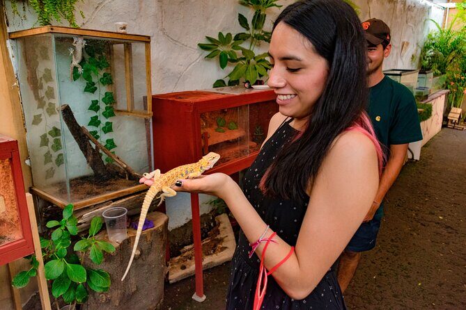 EXCLUSIVE Floating Adventure of Xochimilco - small groups - What’s Included in the Experience?