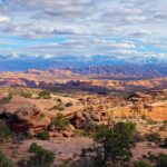 Exclusive Half Day Dead Horse Point Guided Mountain Biking Tour - What Makes This Tour Stand Out?