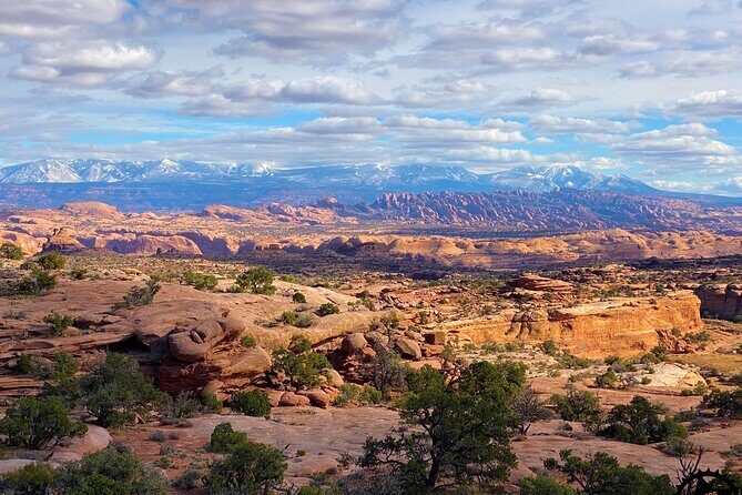 Exclusive Half Day Dead Horse Point Guided Mountain Biking Tour - What Makes This Tour Stand Out?
