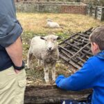 Exclusive Private Colonial Williamsburg Walking Tour by a Local - Why This Tour Excels